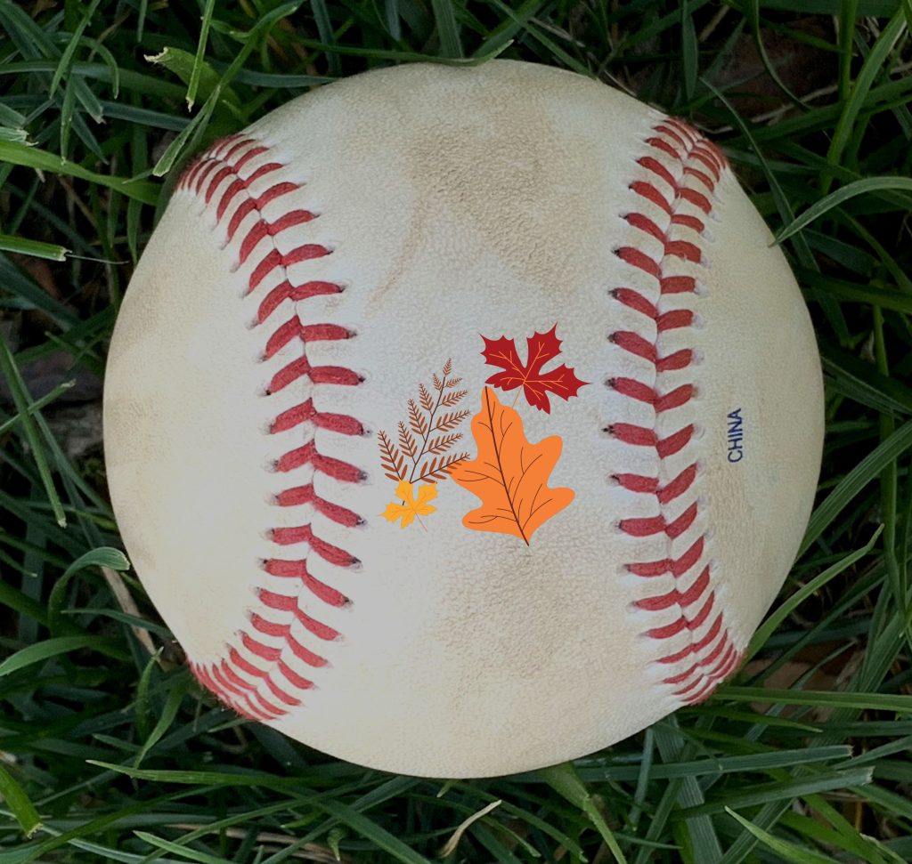 Pines Baseball | Pines Team