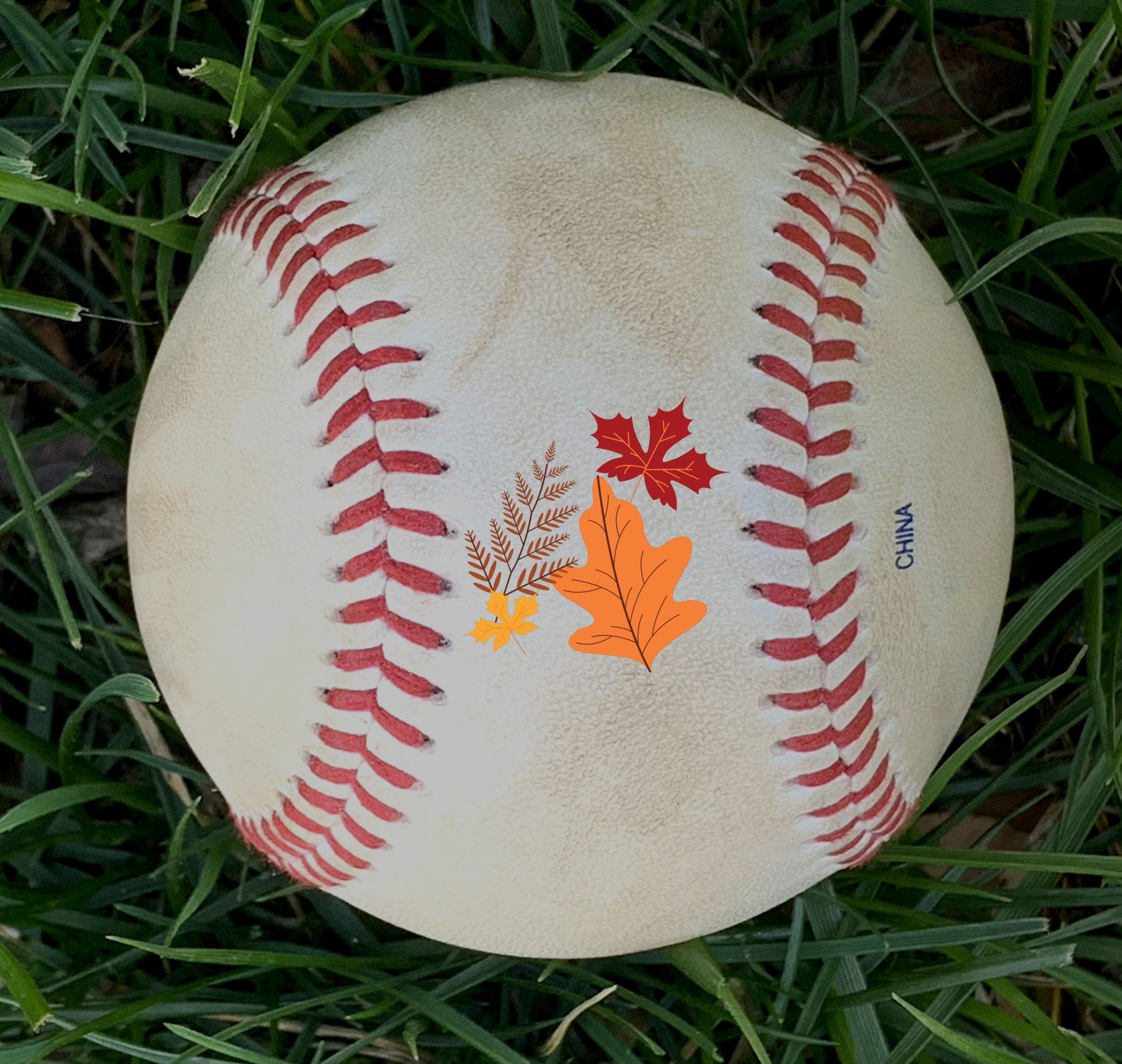 Pines Baseball | Pines Team